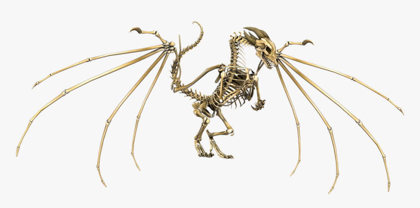 Dragon, Skeleton, Wings, Flying, Fantasy, Fairytale, - Skeleton Dragon ...