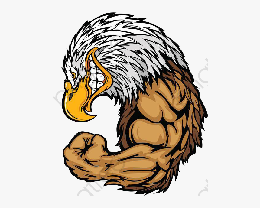 Eagle Clipart Simple - Bald Eagle, HD Png Download , Transparent Png ...