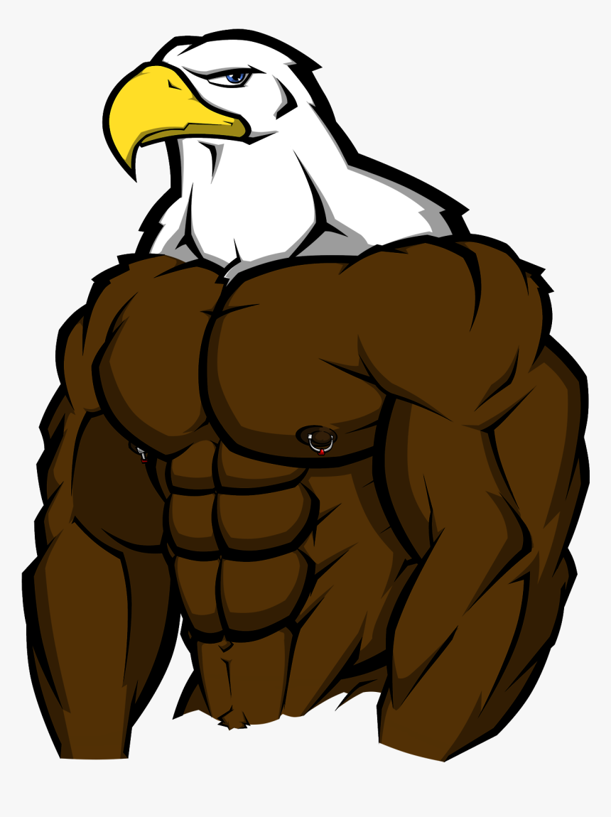 Eagles Clipart Muscle - Muscle Eagle, HD Png Download , Transparent Png ...