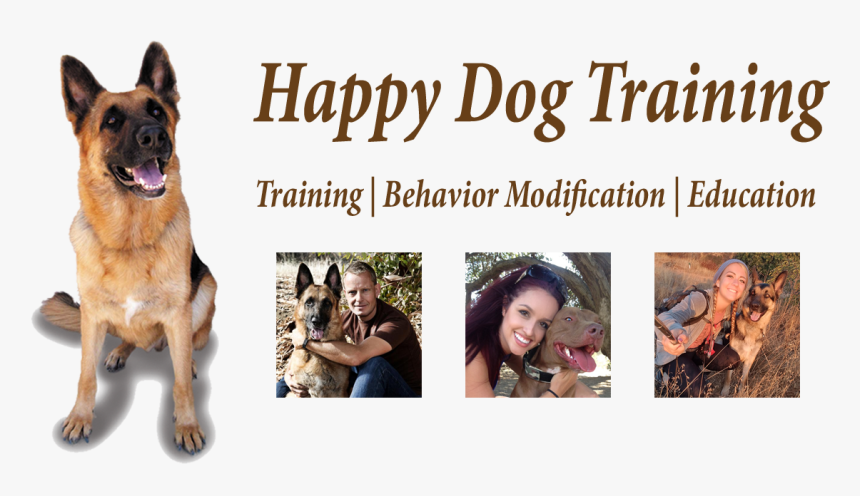 Happy Dog Training, HD Png Download , Transparent Png Image - PNGitem