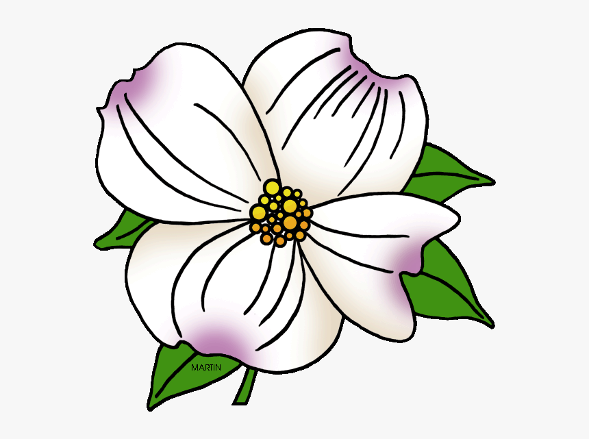 United States Clip Art By Phillip Martin, North Carolina - North ...