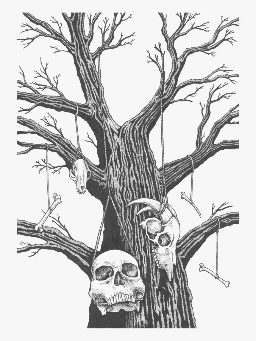 Tree Sketch 4png - Bones Hanging From A Tree, Transparent Png ...
