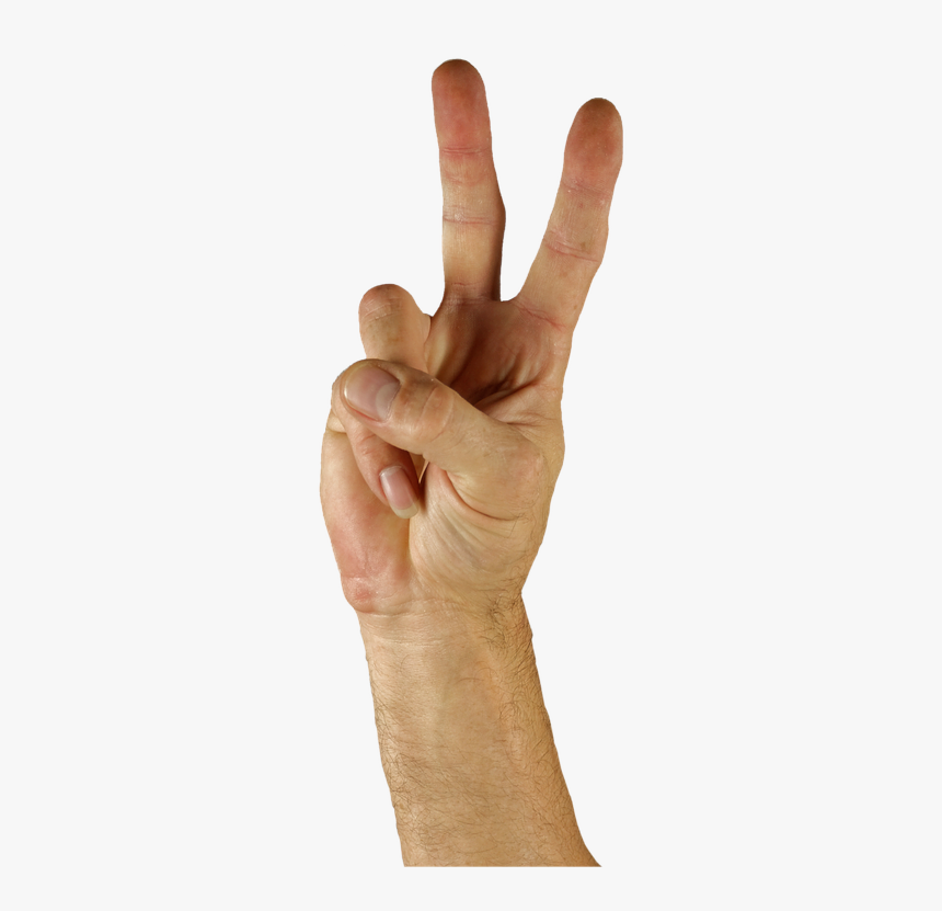 Harmony Peace Hope Sign Language Finger Two Hand Background - Peace ...