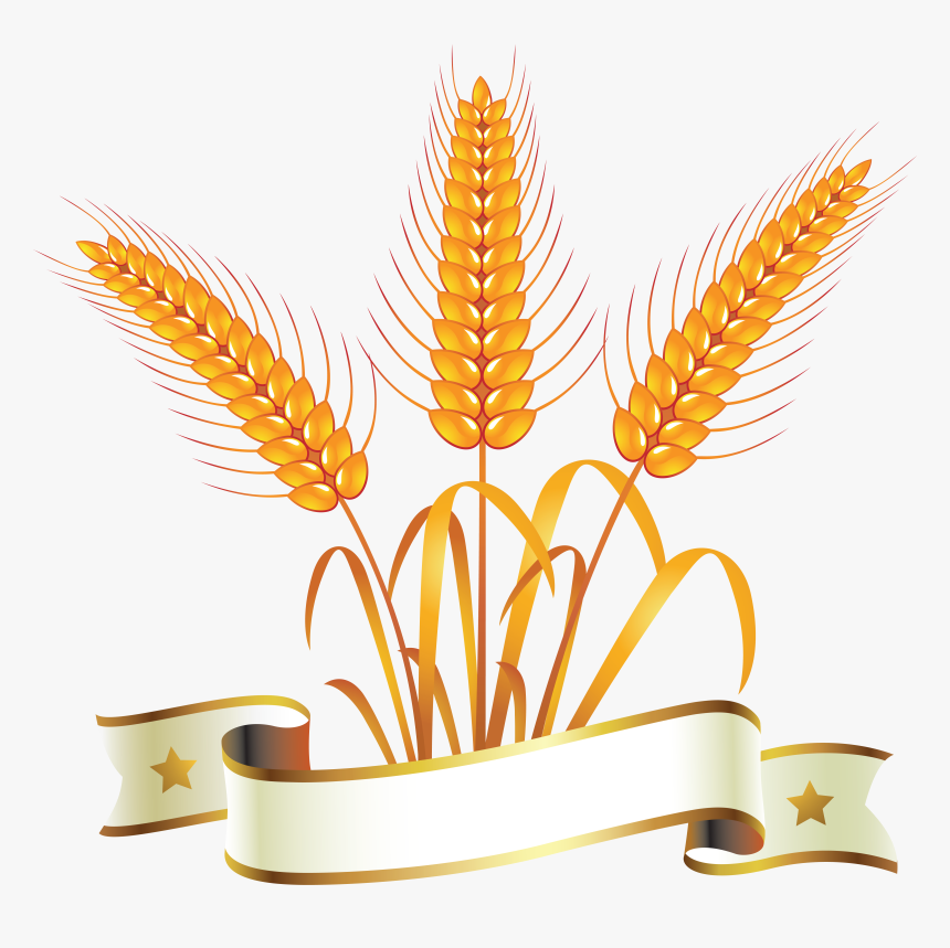 Gold And Silver Wheat Symbol Logos Icons Image - Gold Wheat Logo Png ...