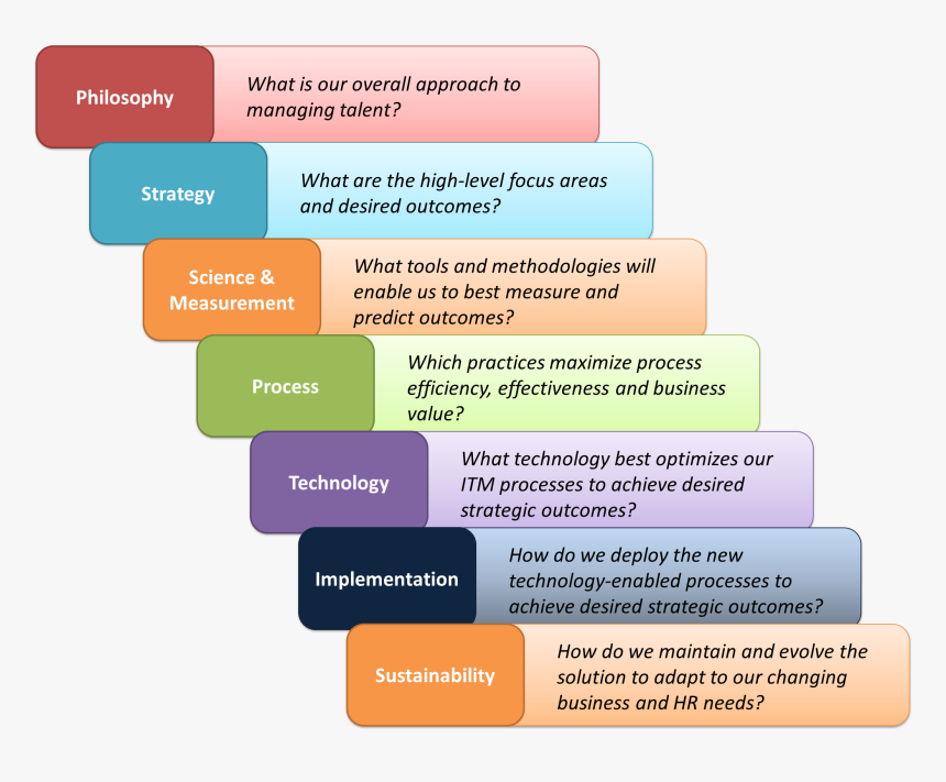 Organizational Dynamics Planning Essay Need Essay Sample - Talent ...