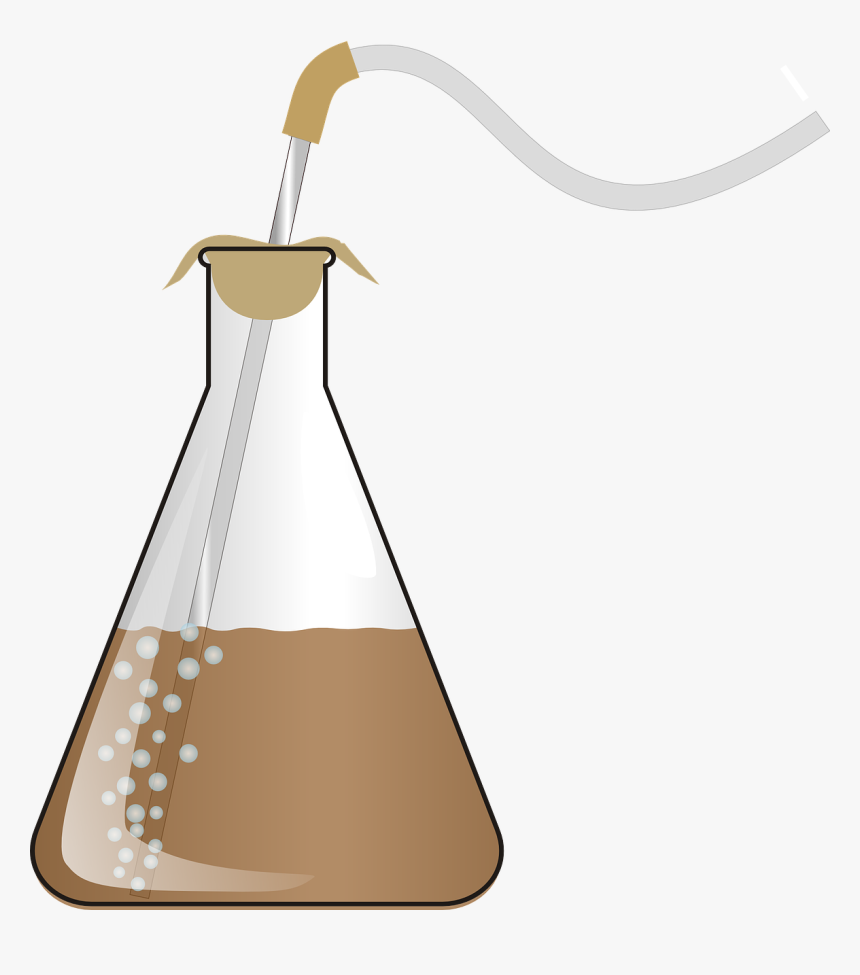 Erlenmeyer Flask, HD Png Download , Transparent Png Image - PNGitem