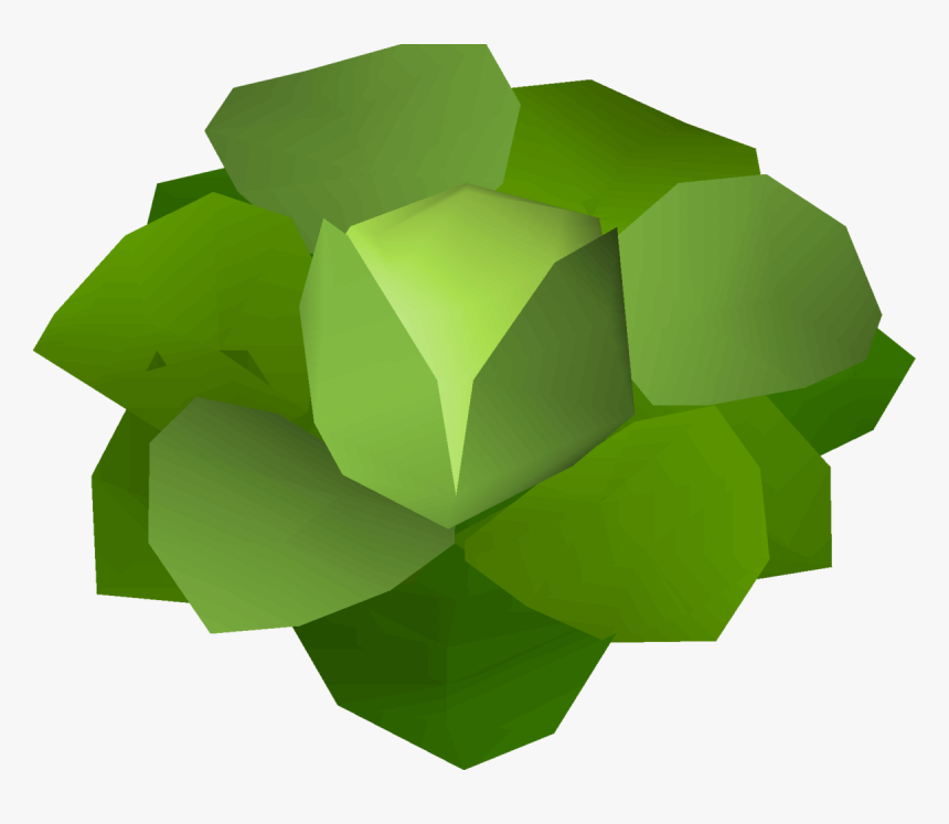 Cabbage Osrs, HD Png Download , Transparent Png Image - PNGitem