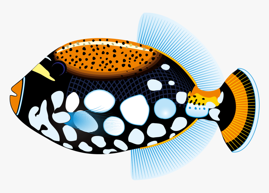 Transparent Tropical Fish Png - Tropical Fish Clipart Free, Png ...