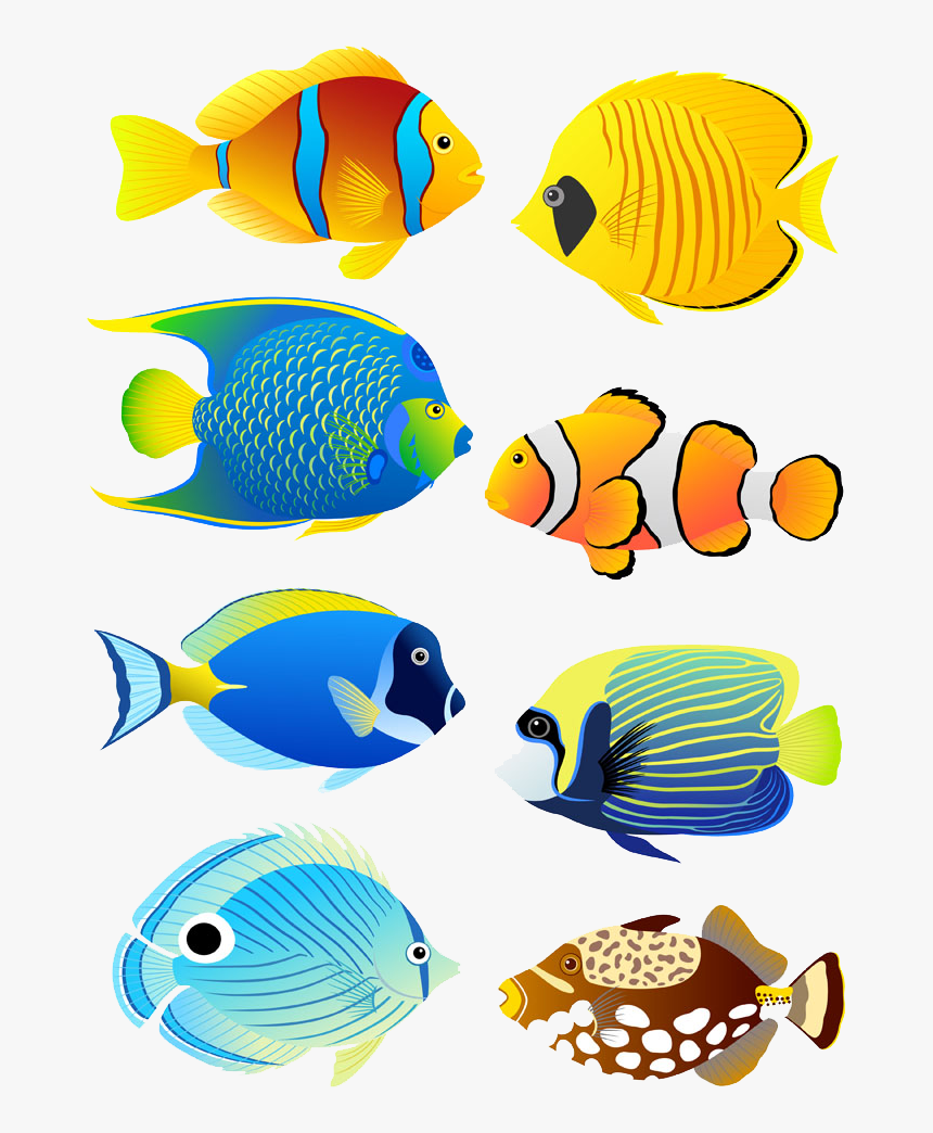 Transparent Fish Tank Clipart - Coral Reef Fish Clipart, HD Png ...