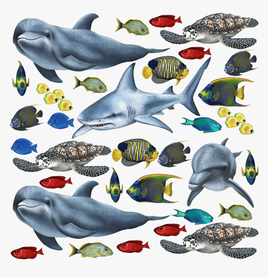 Tropical Fish And Sea Creatures Collection Economy - Size Of Sea ...