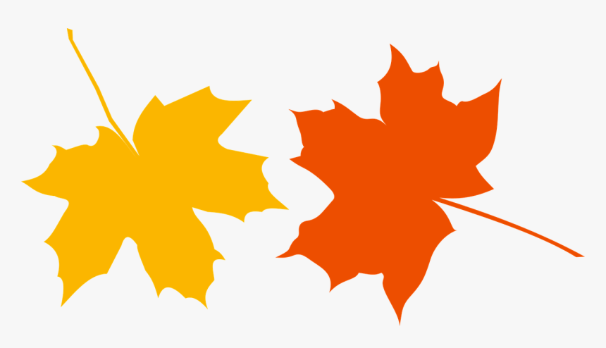 Leaf Autumn Vector Png, Transparent Png , Transparent Png Image - PNGitem