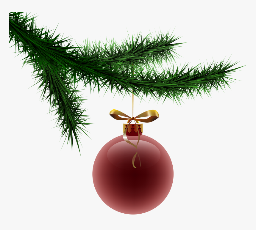 Branch Clipart Christmas - Christmas Tree Branch With Ornament Png ...