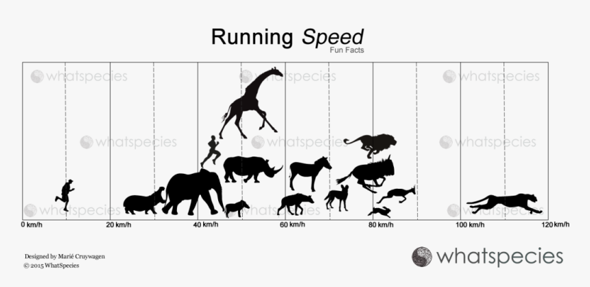 Running Speed - Cartoon, HD Png Download , Transparent Png Image - PNGitem