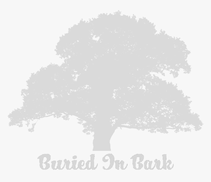 Old Oak Tree Silhouette , Png Download - Illustration, Transparent Png ...