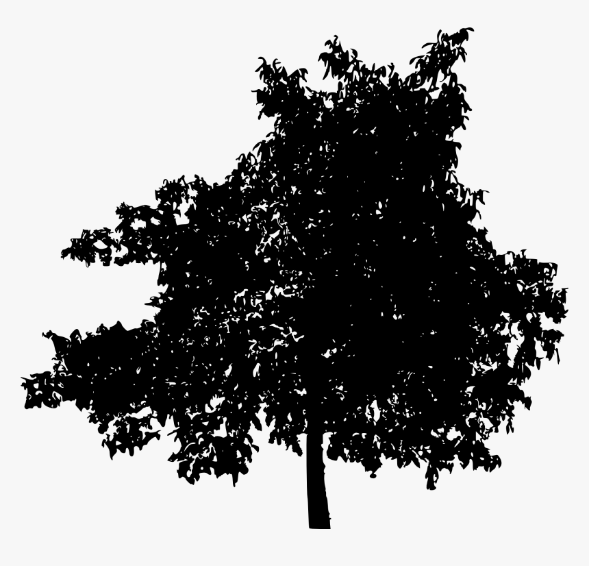 45 Tree Silhouettes Png Transparent Background - Deciduous Tree ...