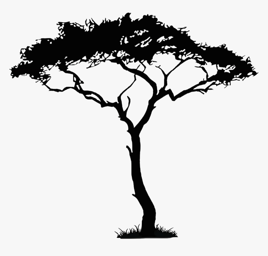 Africa Tree Png - African Tree Drawings, Transparent Png , Transparent ...