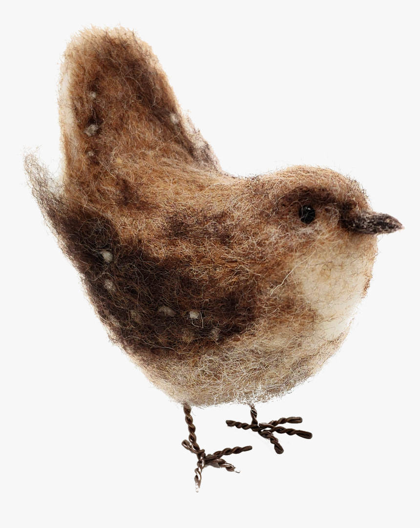 Wren, HD Png Download , Transparent Png Image - PNGitem