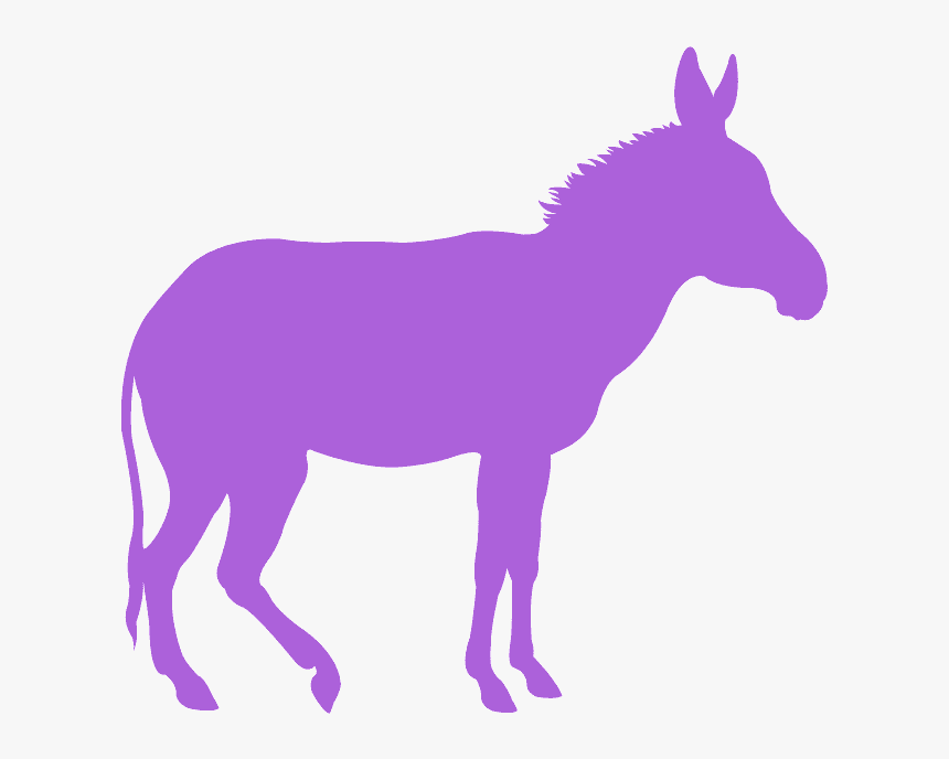 Yellow Donkey Clipart, HD Png Download , Transparent Png Image - PNGitem