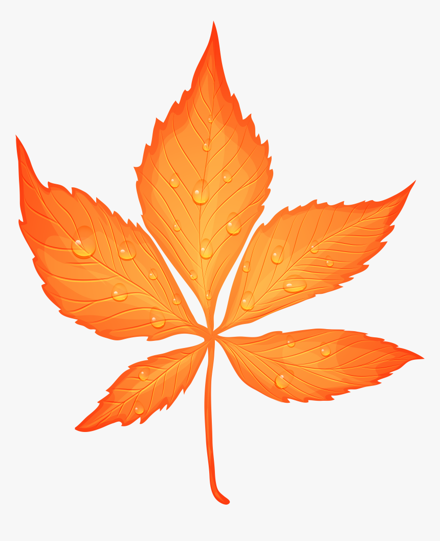 Yellow Fall Leaf Clipart