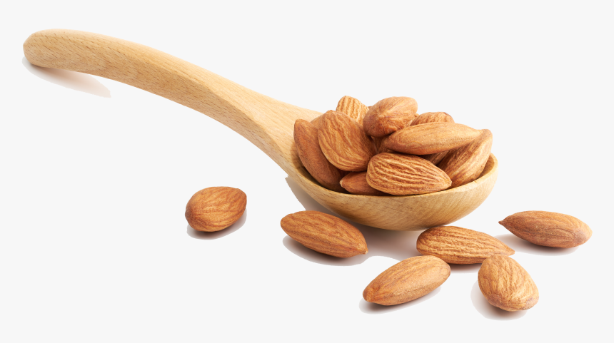 Nut Png, Transparent Png , Transparent Png Image - PNGitem