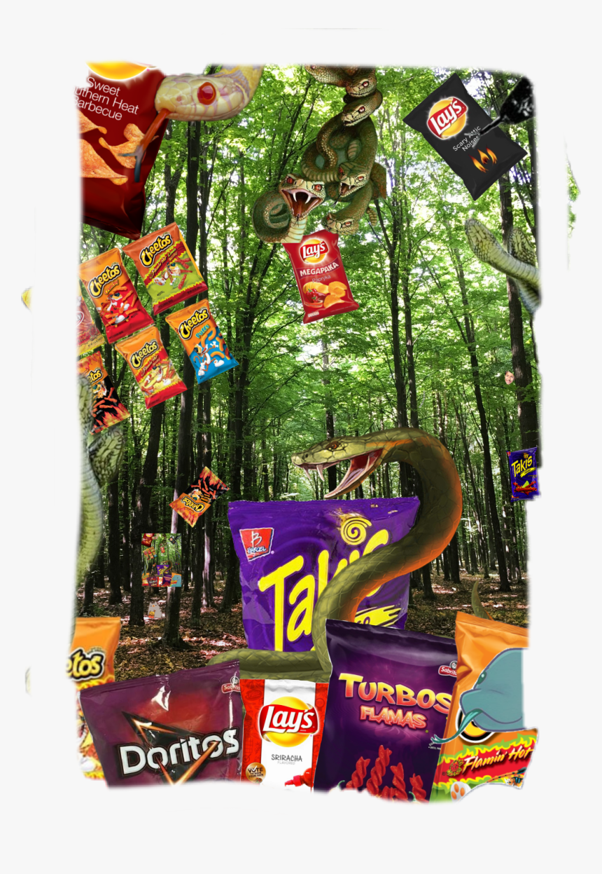 Its Raining Chips Snakes - Doritos, HD Png Download , Transparent Png ...