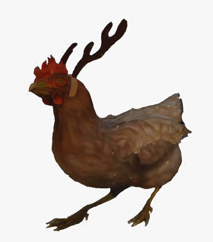 Transparent Silkie Chicken Clipart - Cs Go Chicken, HD Png Download ...