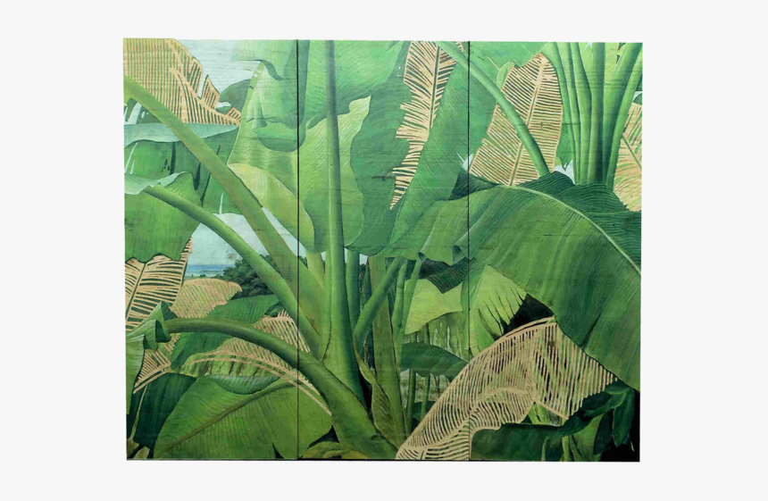 Ensete, HD Png Download , Transparent Png Image - PNGitem