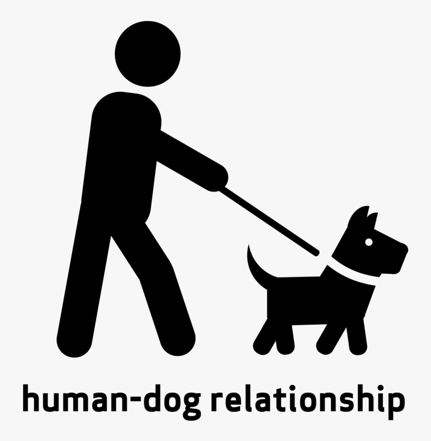 Dog Walking, HD Png Download , Transparent Png Image - PNGitem