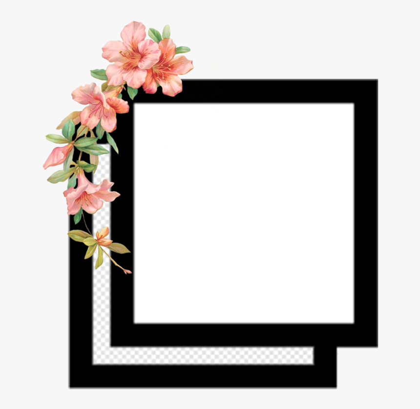 Editing Square Overlays, HD Png Download , Transparent Png Image - PNGitem