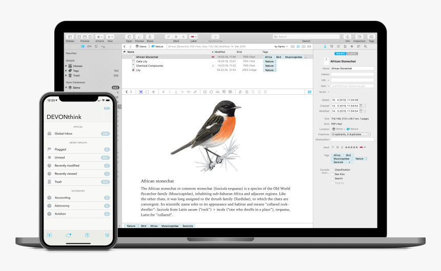 Devonthink, HD Png Download , Transparent Png Image - PNGitem