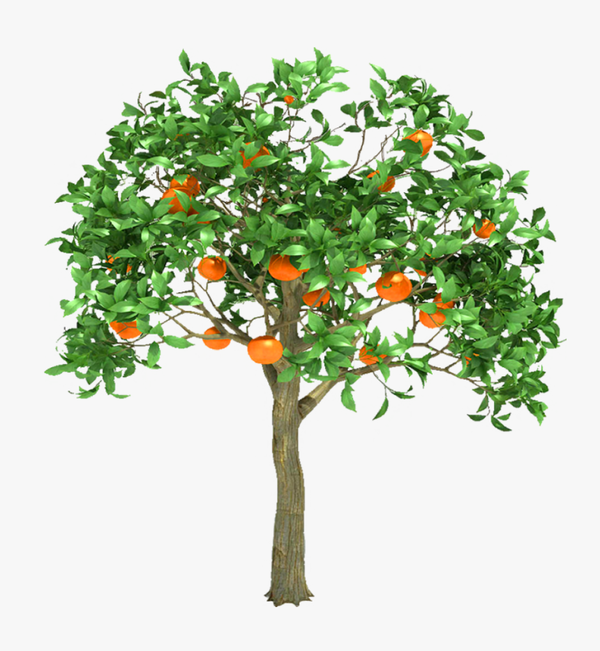Orange Tree Wallpaper 3d