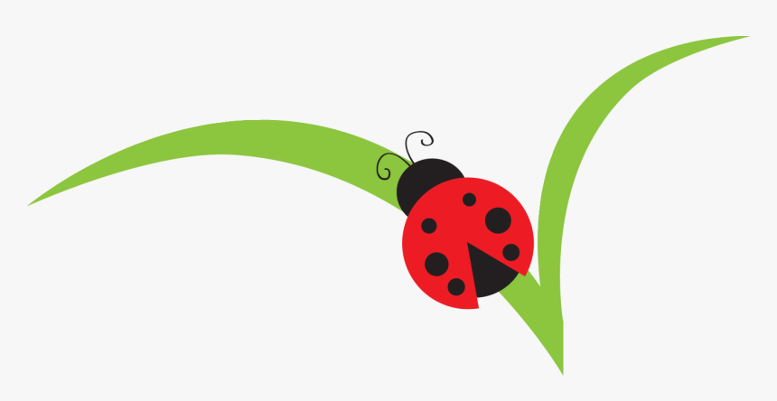 Lady Beetle Clipart Red Ladybug - Lady Bugs Clip Art, HD Png Download ...