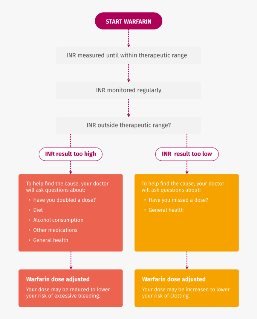 Types Of Anticoagulants, HD Png Download , Transparent Png Image - PNGitem