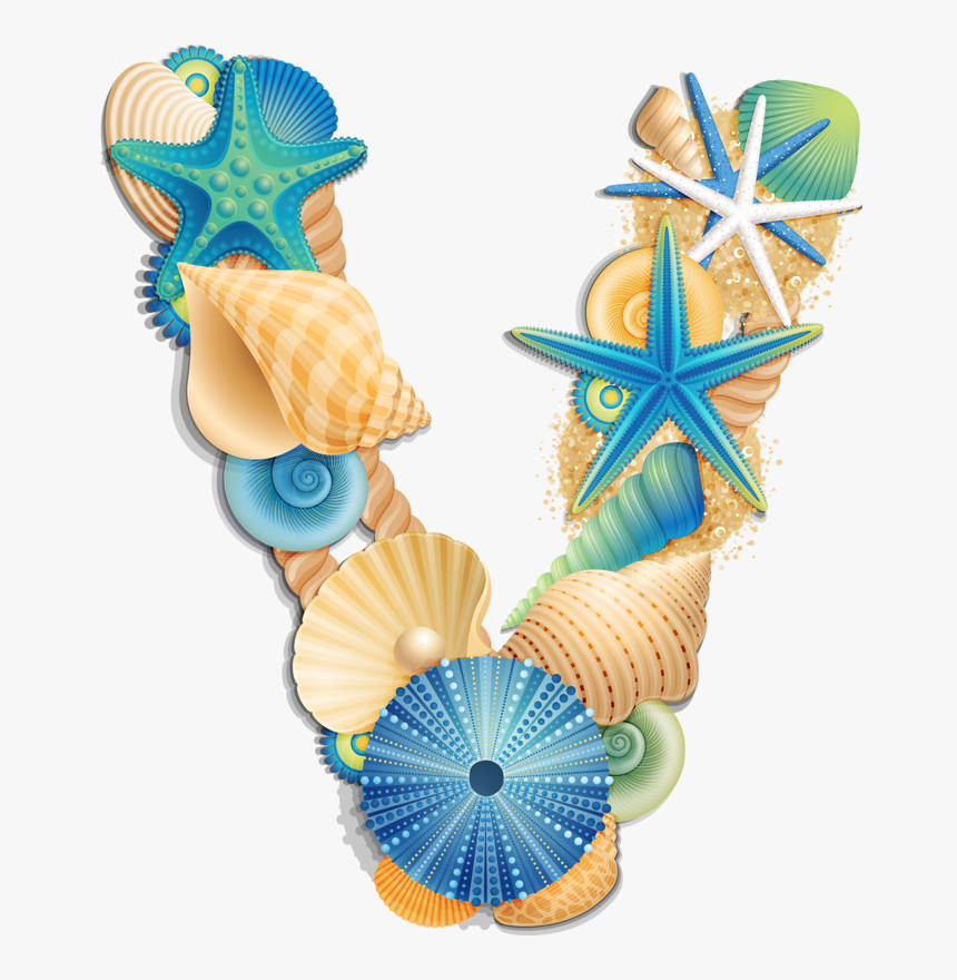 Seashell Letter Clipart, HD Png Download , Transparent Png Image - PNGitem