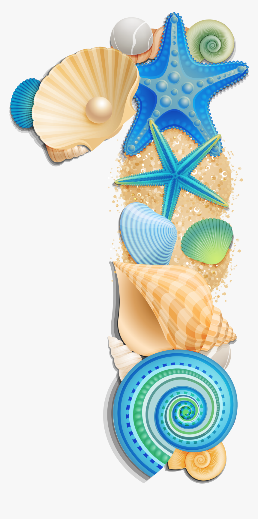 Transparent Sea Shell Png - Sea Shells Clipart Transparent, Png ...