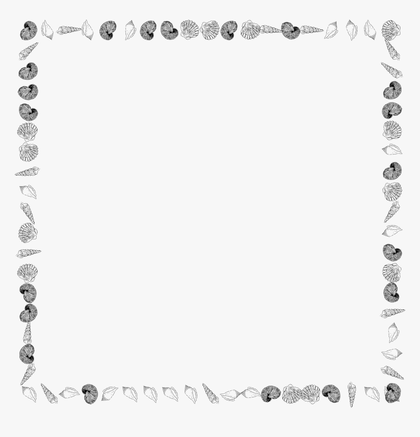Seashells Clipart Border