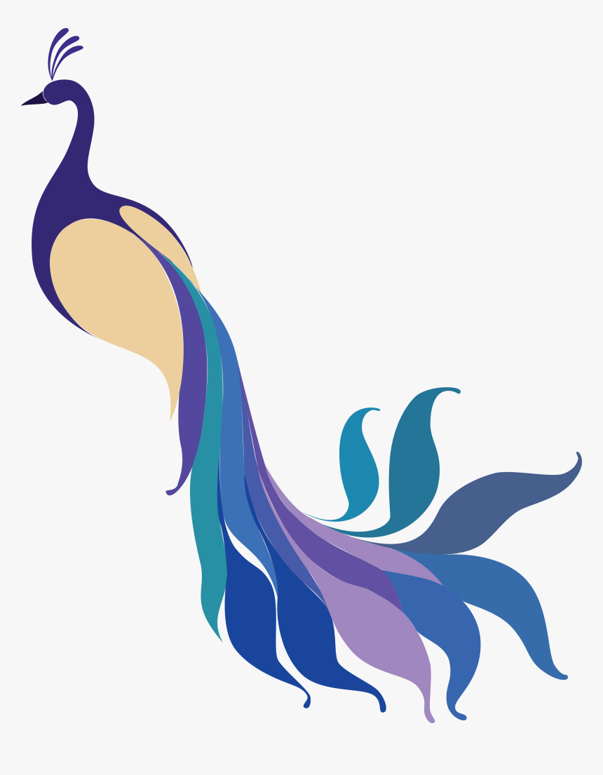 Peacock Vector Free Download