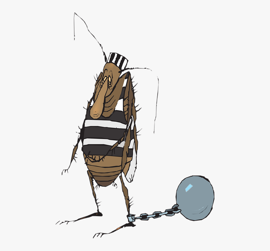 Ball, Chain, Bug, Jail, Insect, Prisoner, Guilty - Jail Bug, HD Png ...