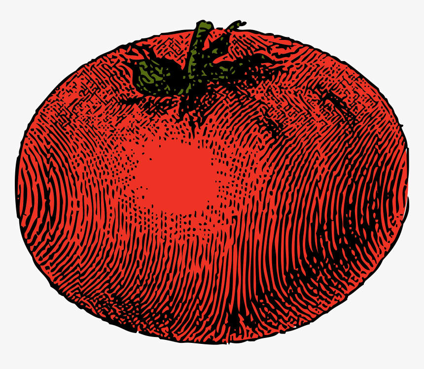 Tomato Clip Arts - Vintage Tomato Clip Art, HD Png Download ...