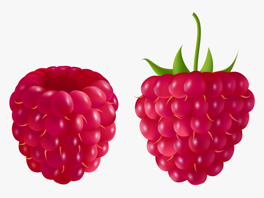 Fruits Clipart Transparent Background - Raspberry Clipart, HD Png ...