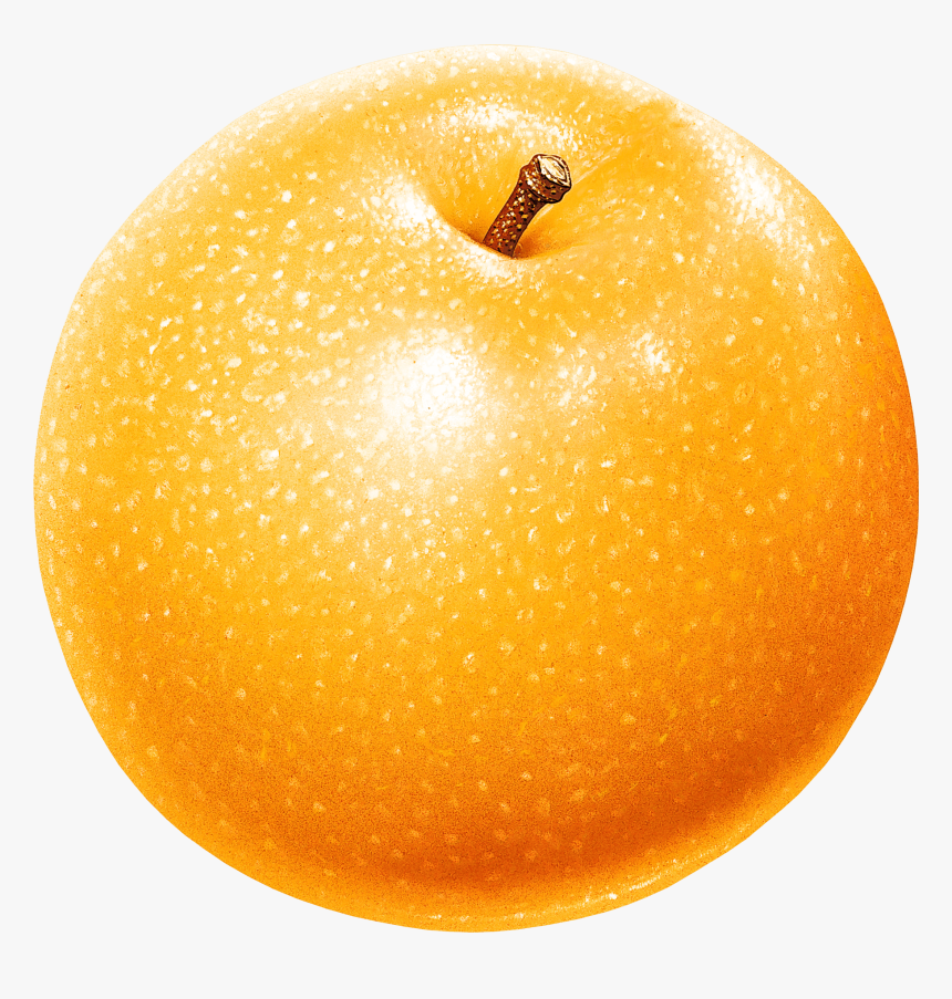 12413, HD Png Download , Transparent Png Image - PNGitem