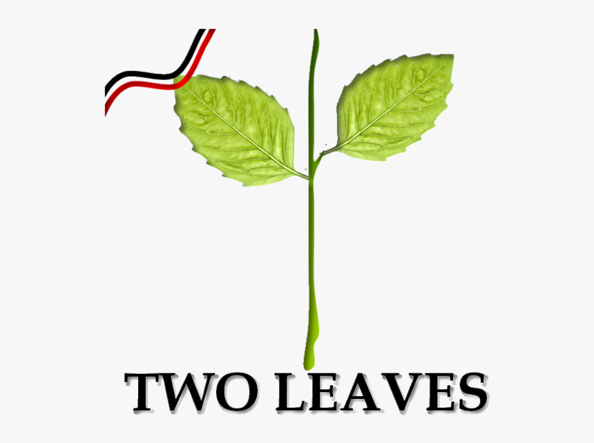 Two Leaves Party Symbol, HD Png Download , Transparent Png Image - PNGitem