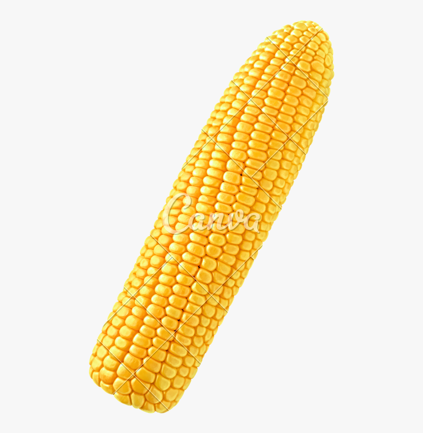 Corn Png Single - Single Corn On The Cob, Transparent Png , Transparent ...