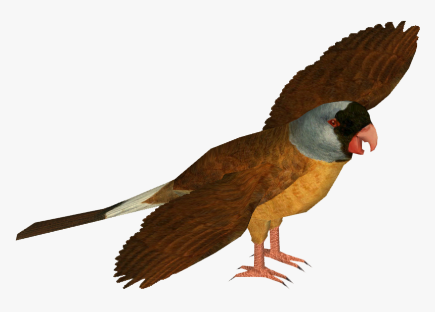 Mascarene Parrot - Zoo Tycoon 2 Fiji Island, HD Png Download ...