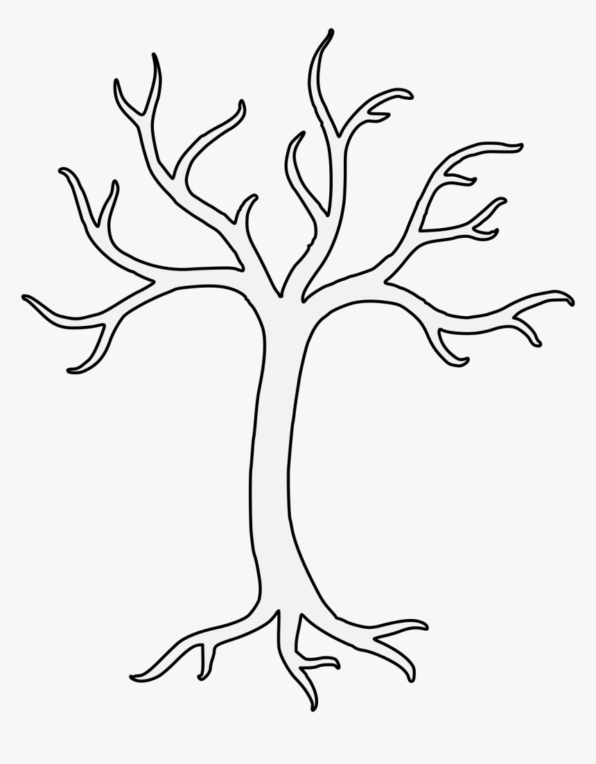 Tree Branch Outline