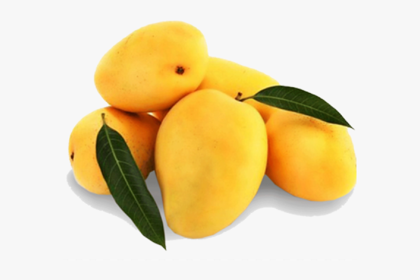Mango Alphonso - Pakistani Mangoes, HD Png Download , Transparent Png ...