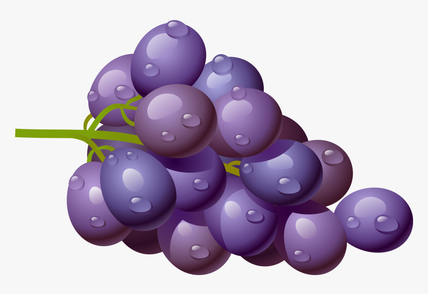 Grapes Grape Download Fruit Clip Art Free Clipart Of - Purple Grapes Clipart Png, Transparent ...