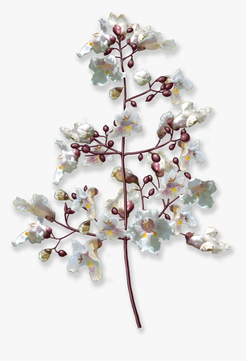 Flower Tree Png Images, Transparent Png , Transparent Png Image - PNGitem