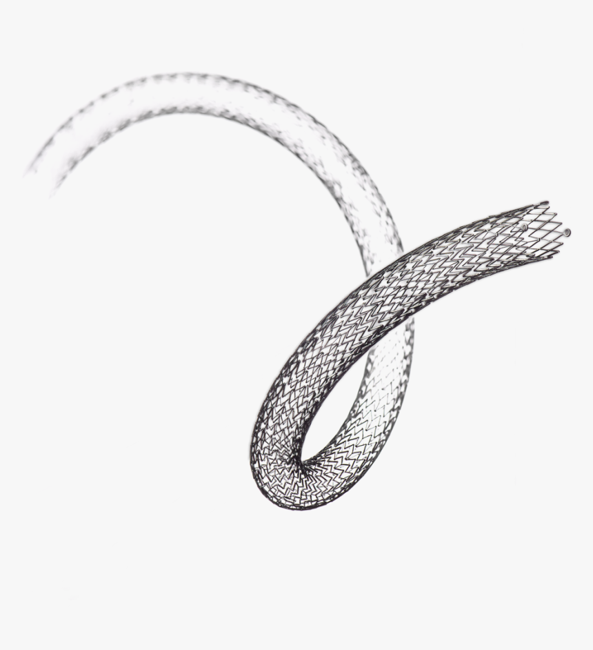 Self Expanding Stent, HD Png Download , Transparent Png Image - PNGitem