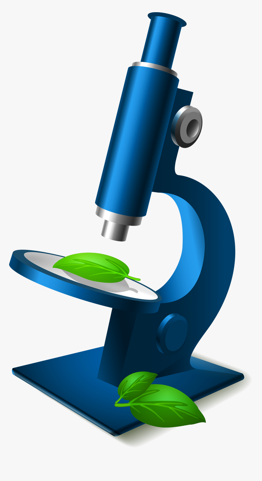 Kisspng Microscope Euclidean Vector Clip Art 5a6934bf513381 ...